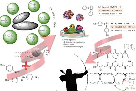 New Phosphoramidates Containing Selenium As Leishmanicidal Agents Antimicrobial Agents And