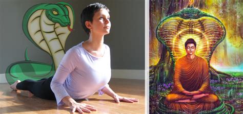 The Dance Of The Royal Serpent Symbolism Of The Cobra Pose