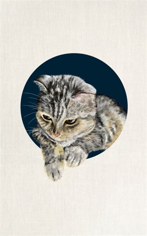 猫 插畫板 Dcard