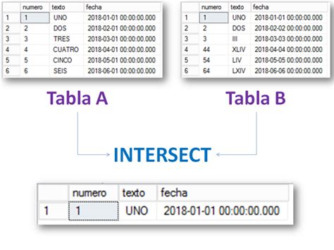 Intersect En Sql Dba Dixit