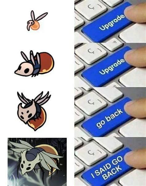 Embrace Your Inner Sadness With These 20 Relatable Hollow Knight Memes