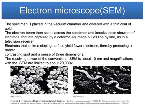 Introduction To Microscope Ppt