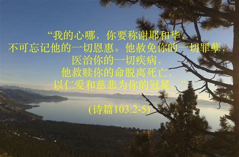 好消息 神圣健康和医治属于你 从信心到信心：从传统到真理