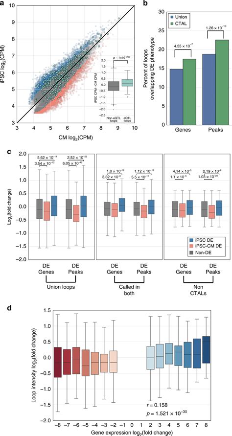 Quantitative Variation In Chromatin Loops Is Associated With
