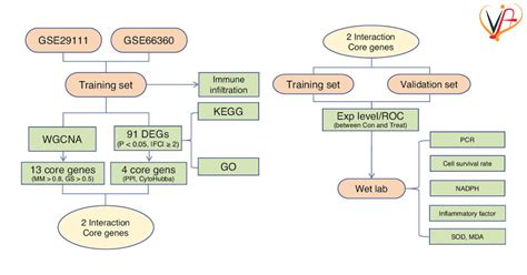 Comprehensive Bioinformatics Method To Explore Immune Related Genes In