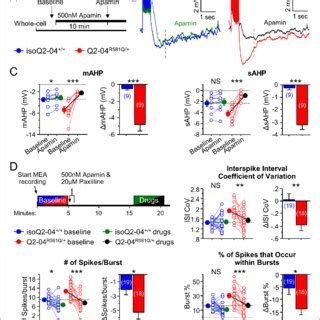 Generation Of KCNQ2 DEE Patient Specific IPSC Derived Neurons A