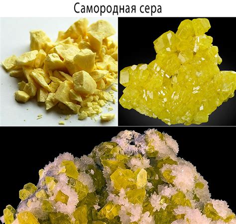 Сера (S) – роль в организме, симптомы недостатка, источники - Медицина ...