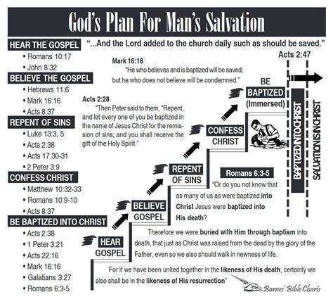 Gods Plan For Mans Salvation Bible Study Scripture Bible Study