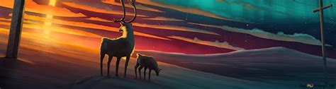 Raindeer 4k Wallpaper Download