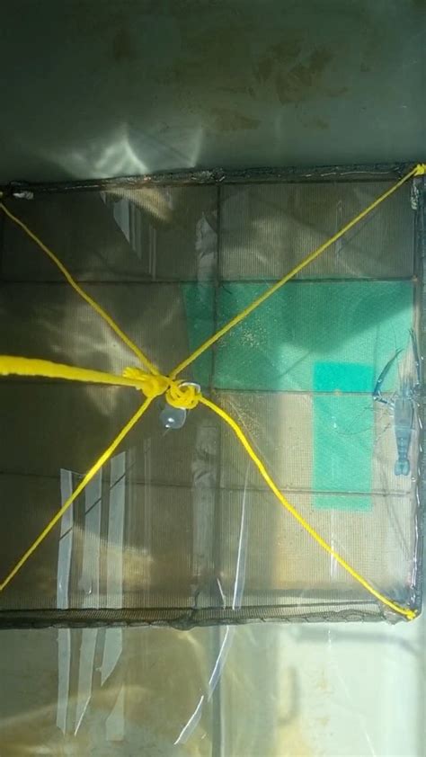 How To Use The Prawn Object Detection Api