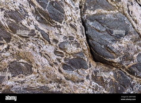 Metamorphic Gneiss Rock Background With Texture And Black And White