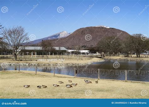 Karuizawa Prince Shopping Plaza Editorial Stock Image Image Of Tour