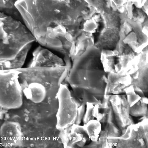 Sem Image Of Green Synthesized Silver Oxide Nps Using Moringa Oleifera Stem Download