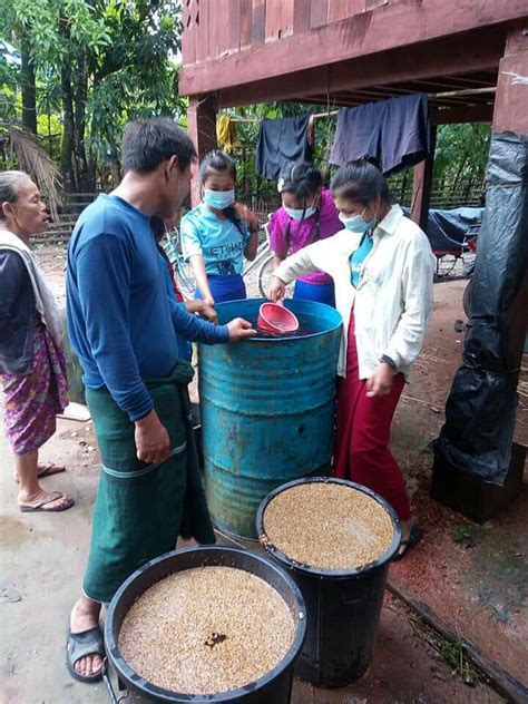 ပိုင်ကျုံမြို့အမှတ် ၄ ရပ်ကွက်၌ မိုးရာသီ သွေးလွန်တုပ်ကွေးရောဂါ ကြိုတင