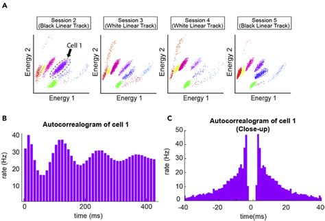 Example Clusters During Recording Session A Example Of Spike Sorting Download Scientific