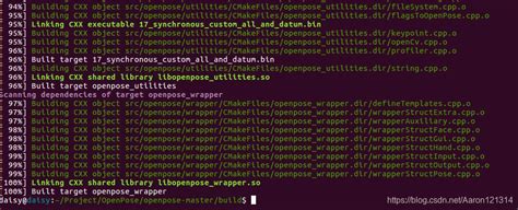 Ubuntu1604 Open Pose 多个人体姿态识别 Cpu版 配置安装openpose Ubuntu Cpu Csdn博客