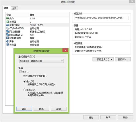 虚拟服务器磁盘读写慢解决vmware Workstation虚拟机运行缓慢问题之修改硬盘参数及其虚拟硬盘的两种模式的说明 Csdn博客