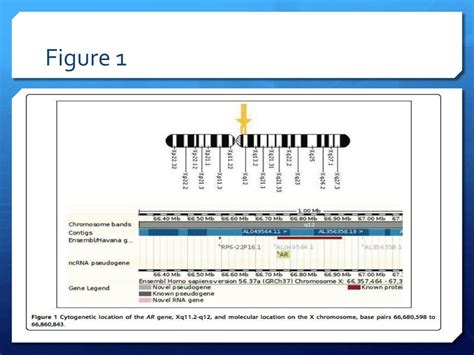 Ppt Challenges In Clinical And Laboratory Diagnosis Of Androgen
