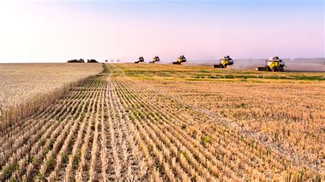 수확기 수확 잘 익은 밀을 결합합니다 일몰 흐린 오렌지 하늘 배경에 금 필드의 잘 익은 귀 풍부한 수확의 개념 가을에 대한 스톡 사진 및 기타 이미지 Istock