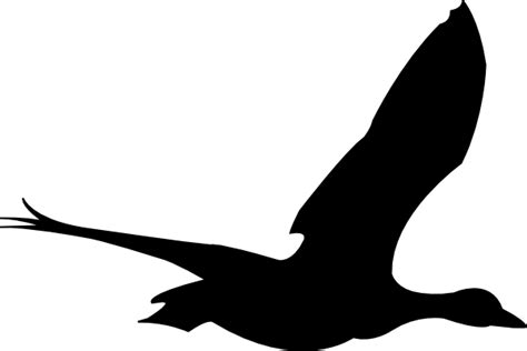 Flying Bird Clip Art Vector Clip Art Online Royalty Free