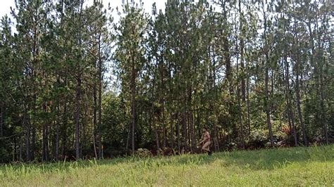 The Naked Rang Slanger 20 Free Sex Video Redtube