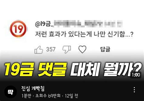 요즘 유튜브 댓글 상황 요약하는 짤 유머움짤이슈 에펨코리아