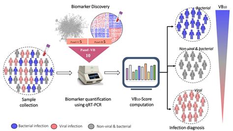 New Biomarker To Distinguish Between Bacterial And Viral Infections