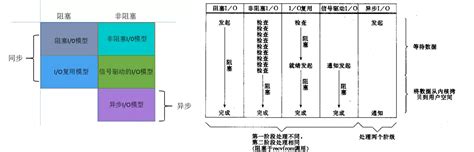 Linux Io 模型 Next Gen Tech Edu