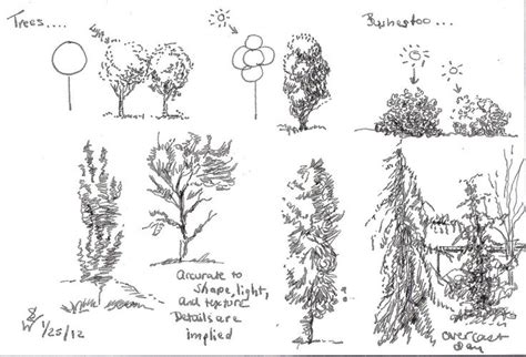 Drawing Trees Tree Drawing Drawings Cross Hatching