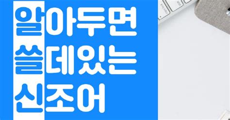 알쓸신사 새로 산 노트북 완전 ㅅㅌㅊ