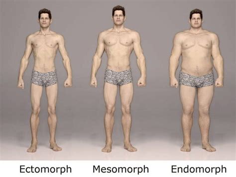 Ectomorph Body Type Guide To Bodybuilding And Diet Old School Labs