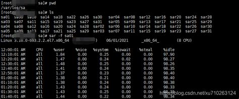Linux命令之sar——查看服务器某一段时间内的cpu情况【系统性能检测】linux查看一段时间的cpu Csdn博客