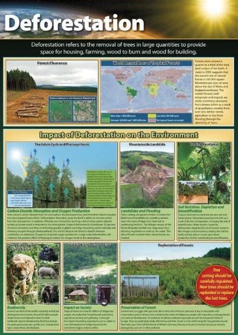Promonis Educational Materials