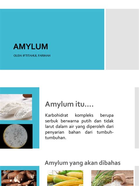 Amylum Pdf