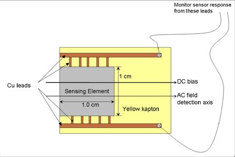 Schematic Of Magnetoelectric Sensor The Gray Region Consists Of A Download Scientific Diagram