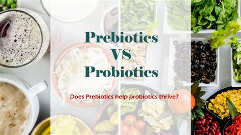 Prebiotics Vs Probiotics Does Prebiotics Help Probiotics Thrive