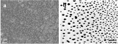 Sem Image A And Tem Image B Of Modified Nanostructure Fes With