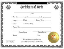 Printable Pet Birth Certificate Template Templateral
