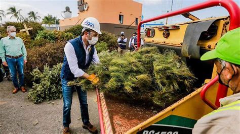 Ayuntamiento de Boca del Río inicia programa de reciclaje de árboles de