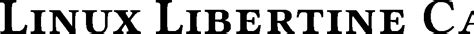 Linux Libertine Font Family 16 Styles By Linux Libertine