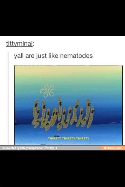 Thirsty Nematodes