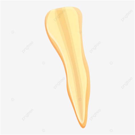 Parsnip Vector Hd PNG Images Half Parsnip Icon Cartoon Vector Vegetable Health Carrot PNG