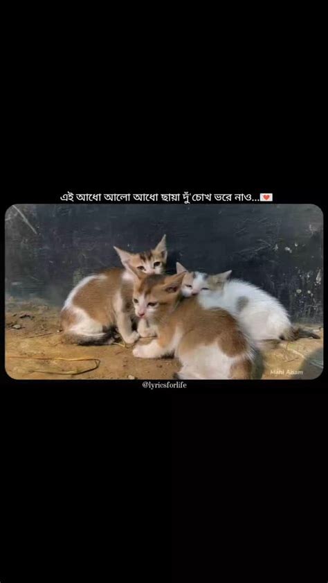 Lyrics For Life Valobasha Baki Is About I Just Wanna Stay With You