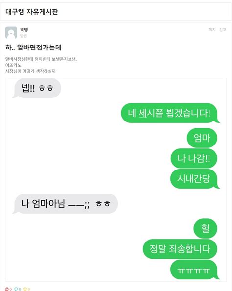알바 면접 가던 경북대생 유머움짤이슈 에펨코리아
