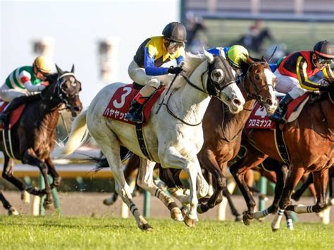 白毛馬・8歳馬の勝利ならいずれも史上初 ハヤヤッコが有馬記念で快挙に挑む 競馬ニュース Netkeiba