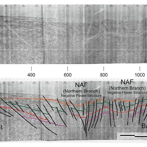 Ns Line 7 Seismic Reflection Data Download Scientific Diagram