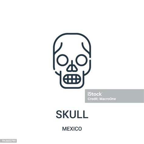 멕시코 컬렉션에서 두개골 아이콘 벡터입니다 얇은 라인 두개골 개요 아이콘 벡터 일러스트 레이 션입니다 건강관리와 의술에 대한 스톡 벡터 아트 및 기타 이미지 Istock