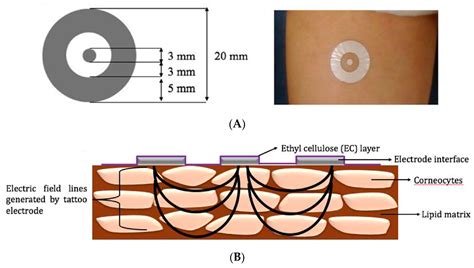 Sensors Free Full Text Recent Advances In Skin Chemical Sensors