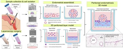 논문 리뷰 Compound Design Of A Patient Derived 3d Cell Culture System