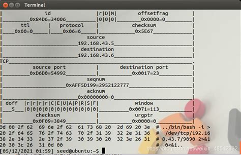 Tcpip Attack Labtcp Attacks Lab Csdn博客